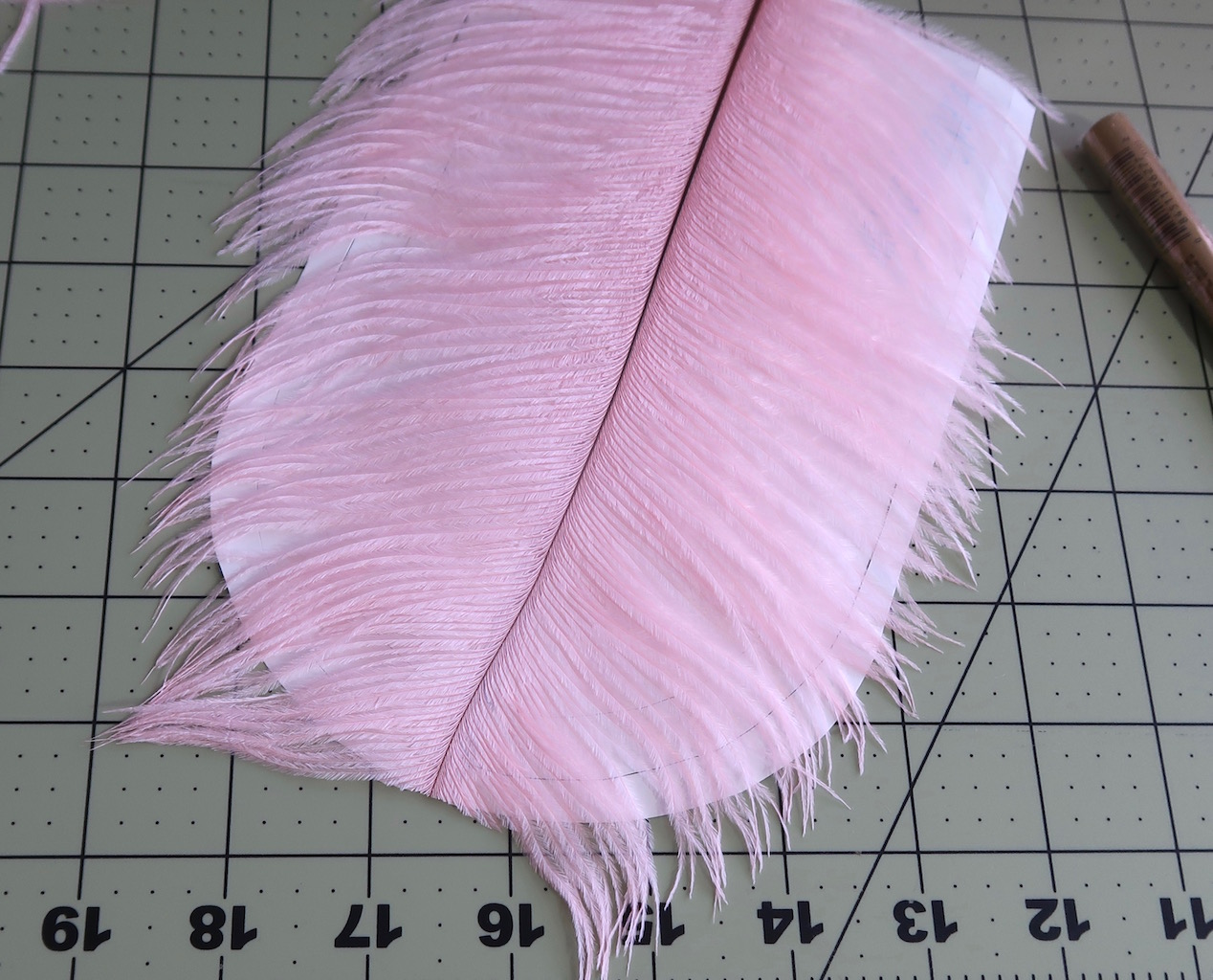 Fiddle-neck Feathers – …out of a portrait