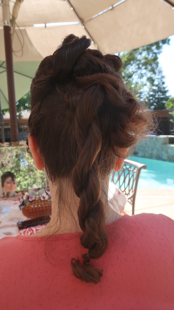 A Bustle Era Hairstyle – …out of a portrait