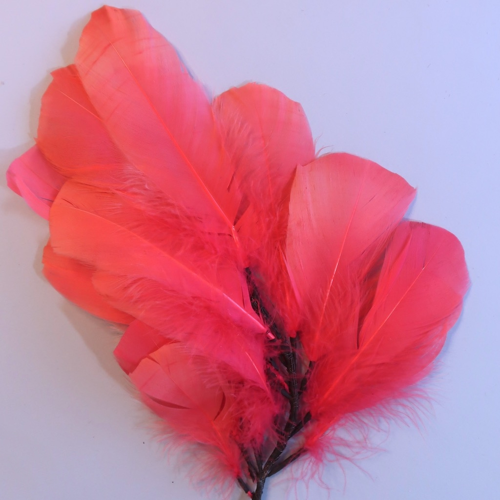 Goose Feather Ornament – …out of a portrait
